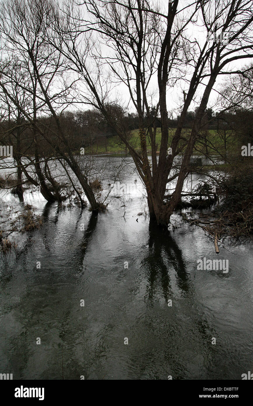 River Meon flooding in Titchfield - February 2014 - behind Titchfield ...
