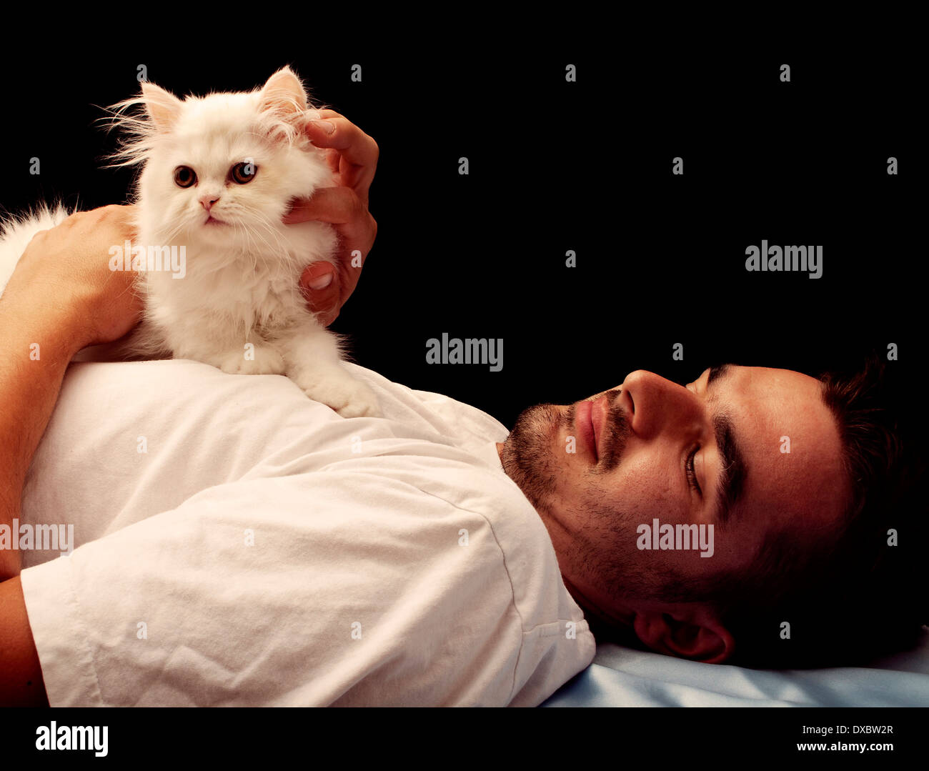 Young man and a kitten Stock Photo - Alamy