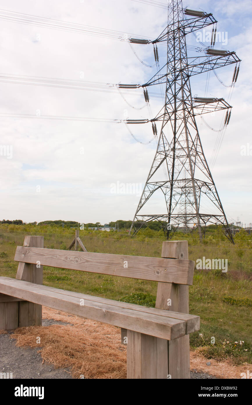 View of an electrical pylon standing tall in a countrypark with a park ...
