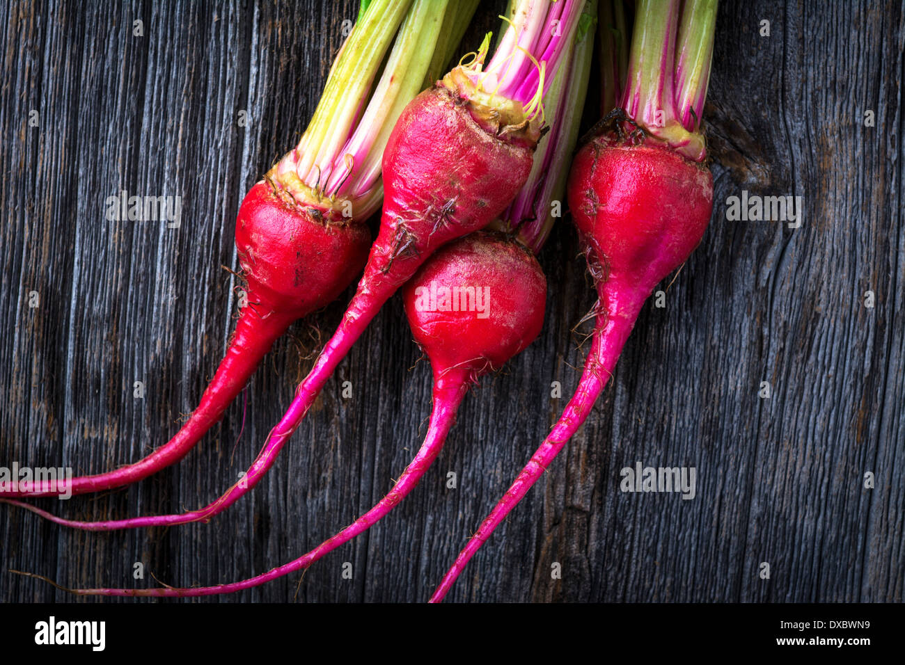 Organic miniature red candy stripe raw beets Stock Photo - Alamy