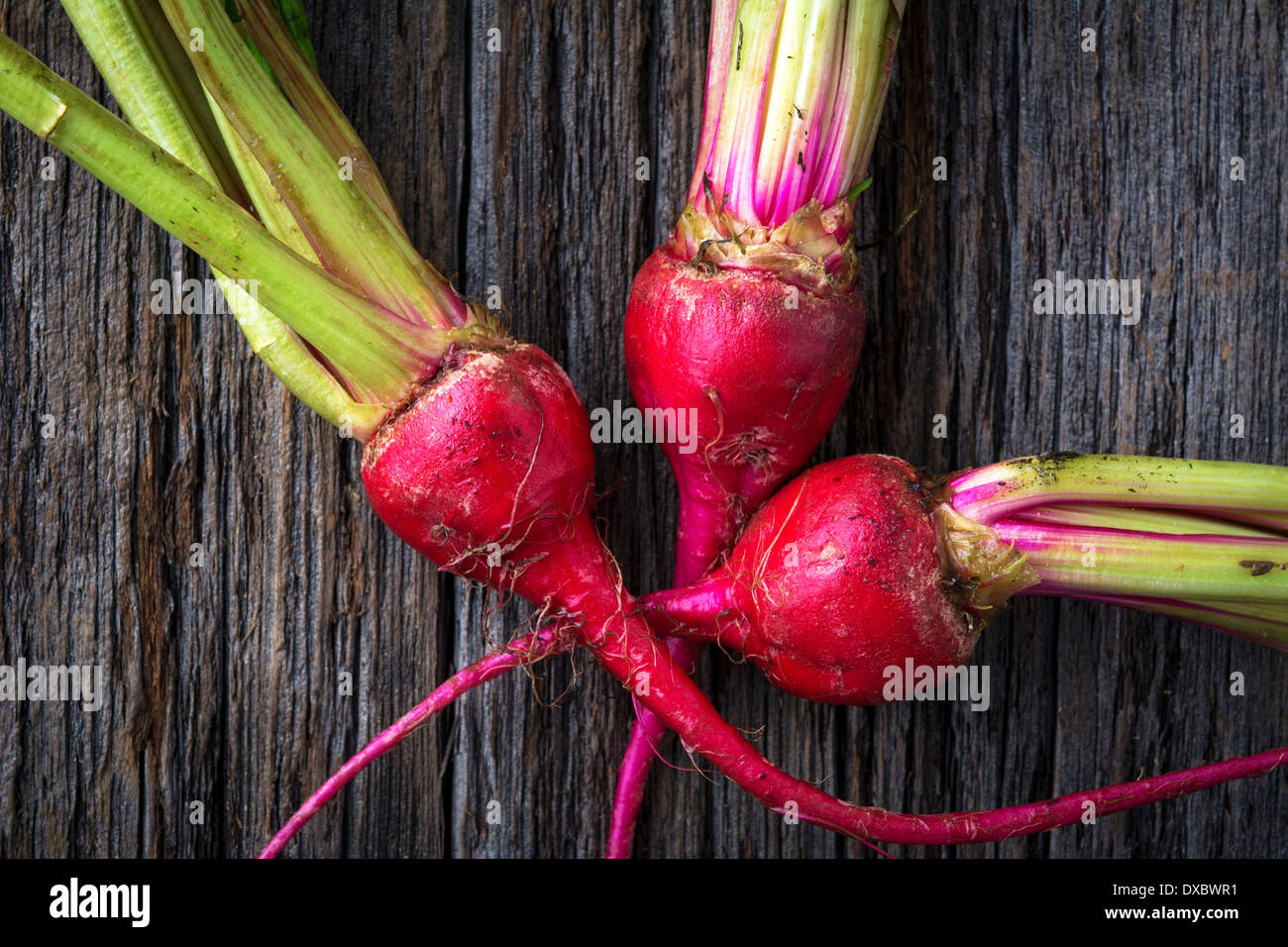 Candy stripe beetroot hi-res stock photography and images - Alamy