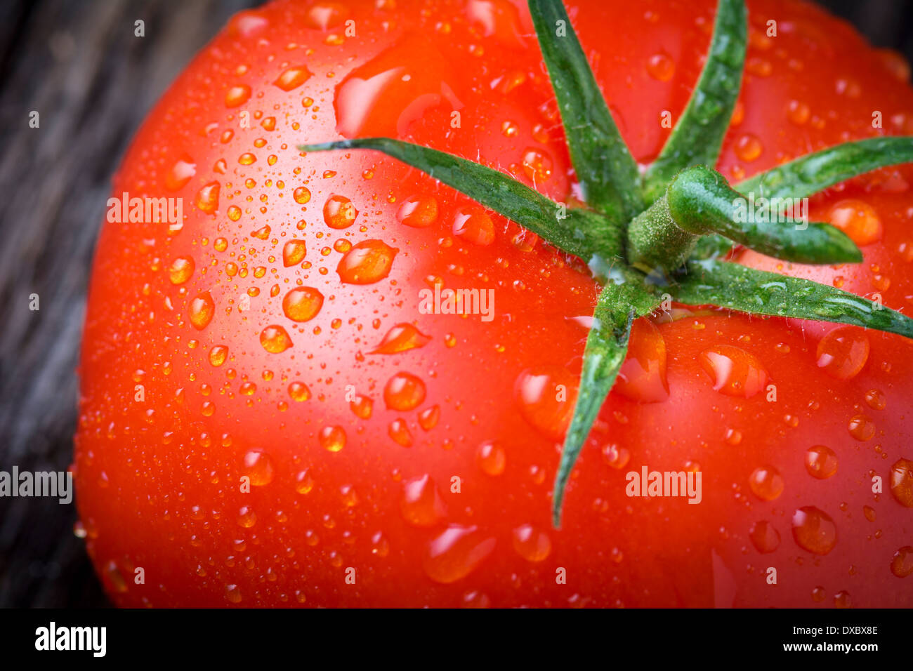 Organic tomato with water droplets in closeup macro Stock Photo - Alamy