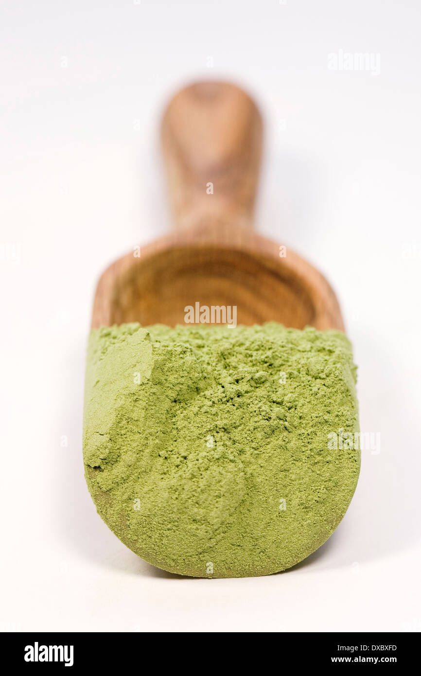 Dried wheatgrass hi-res stock photography and images - Alamy