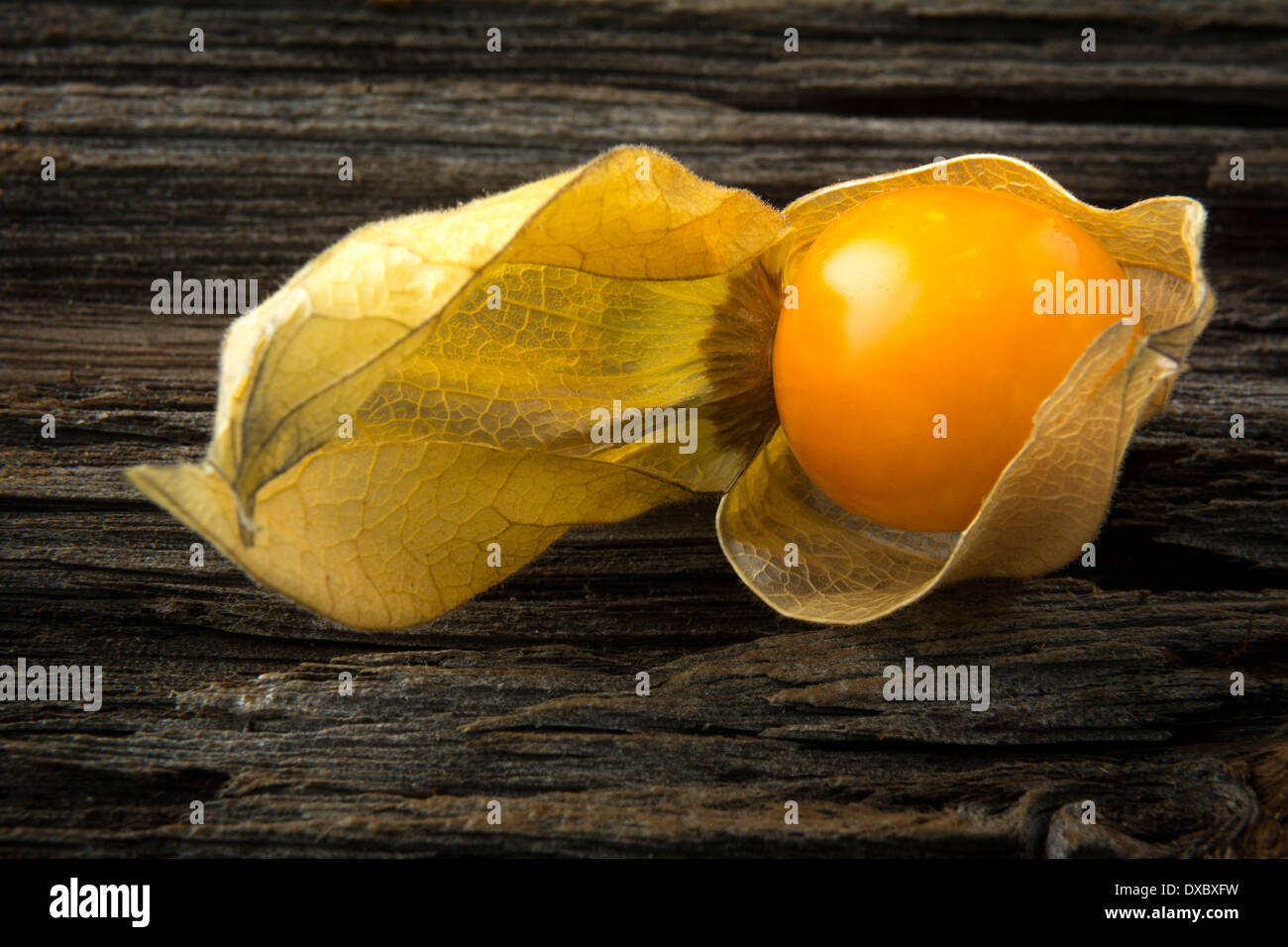Single gooseberry in its husk on rustic wood Stock Photo - Alamy