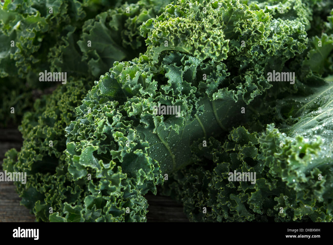Water droplets detail hi-res stock photography and images - Alamy