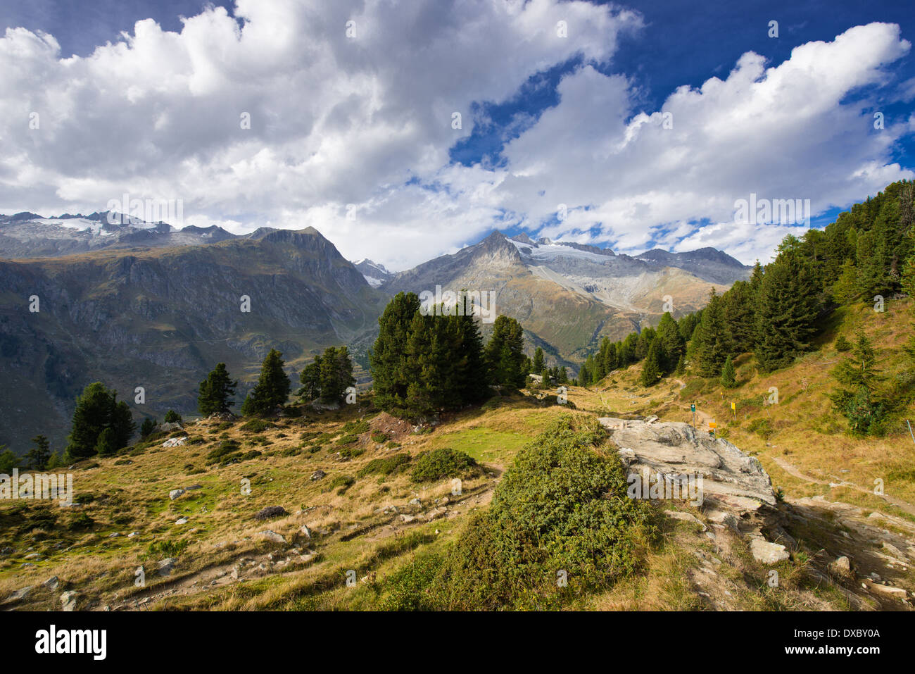 Aletschwald forest hi-res stock photography and images - Alamy