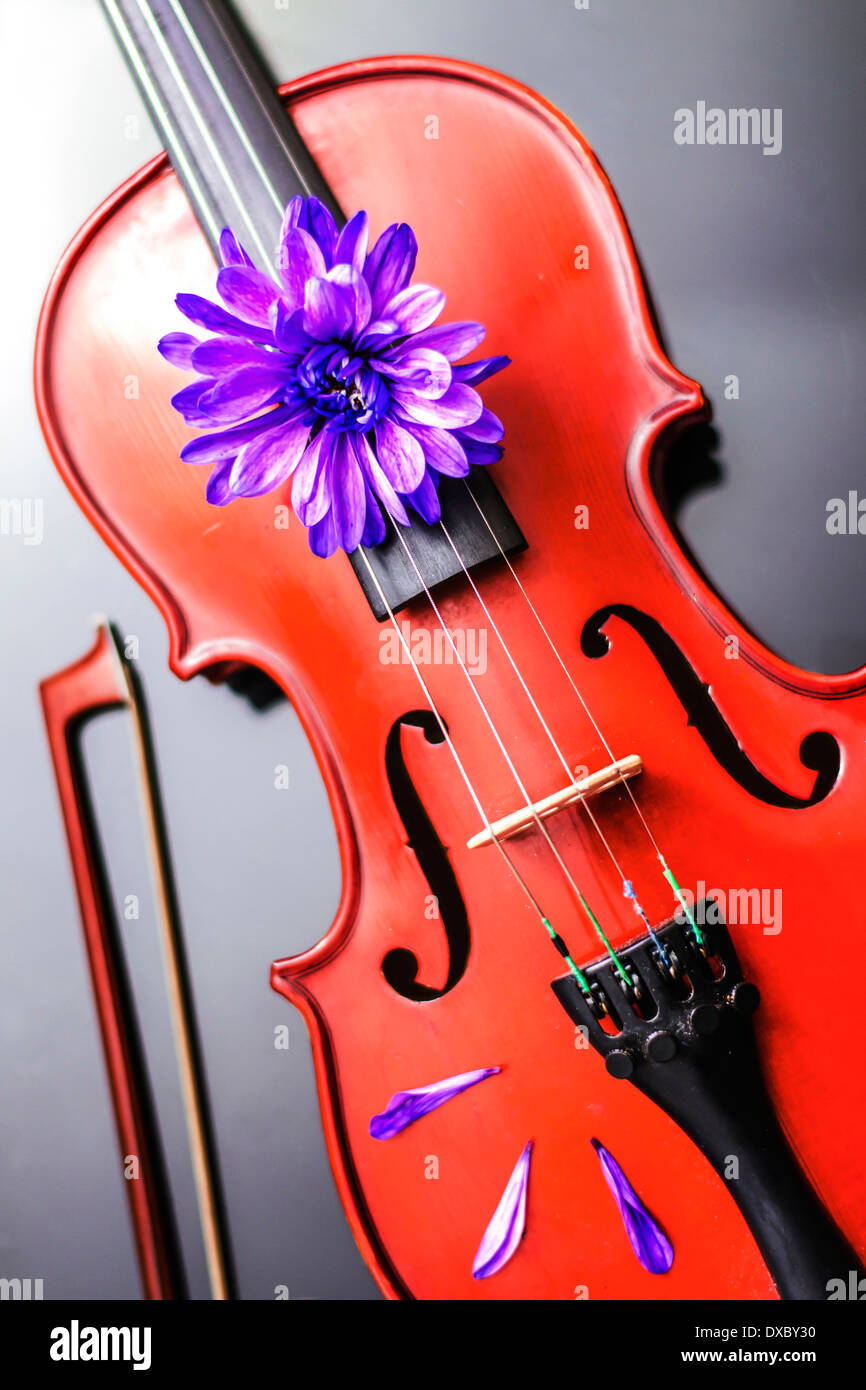 Artistic Poetic Violin Stock Photo - Alamy