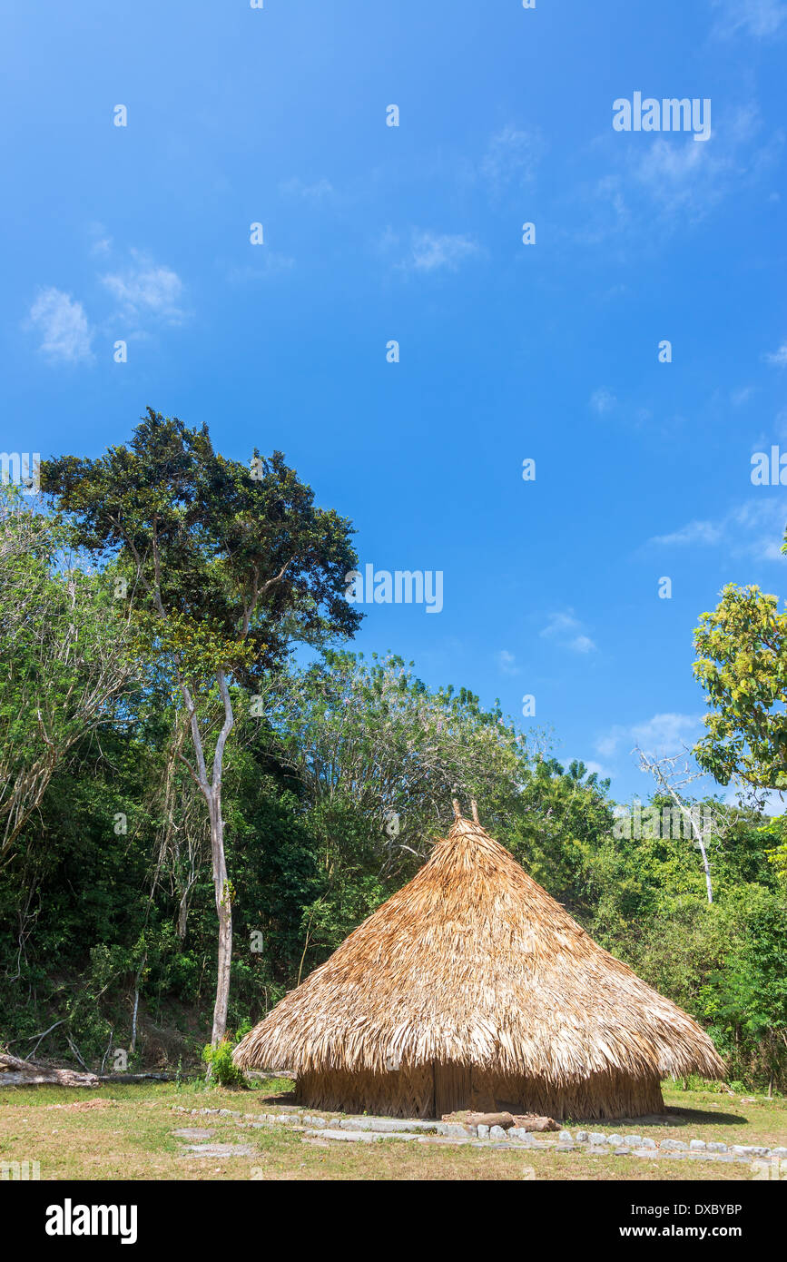 Simple house of a Kogi indian in Tayrona National Park in Colombia ...