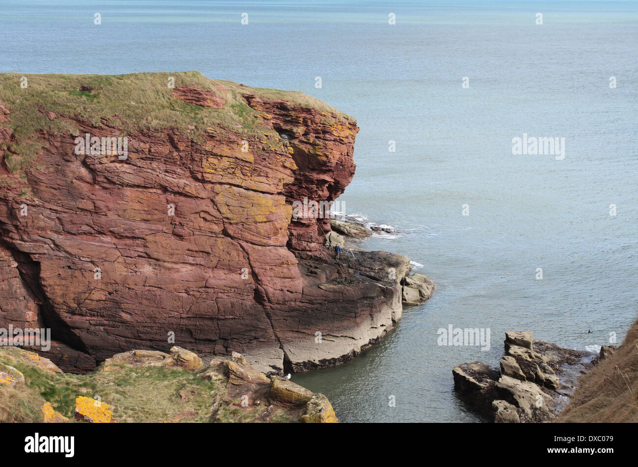 Arbroath cliffs hi-res stock photography and images - Alamy