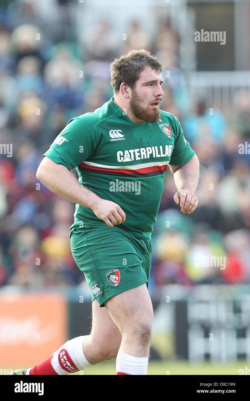 Balmain tigers hi-res stock photography and images - Alamy