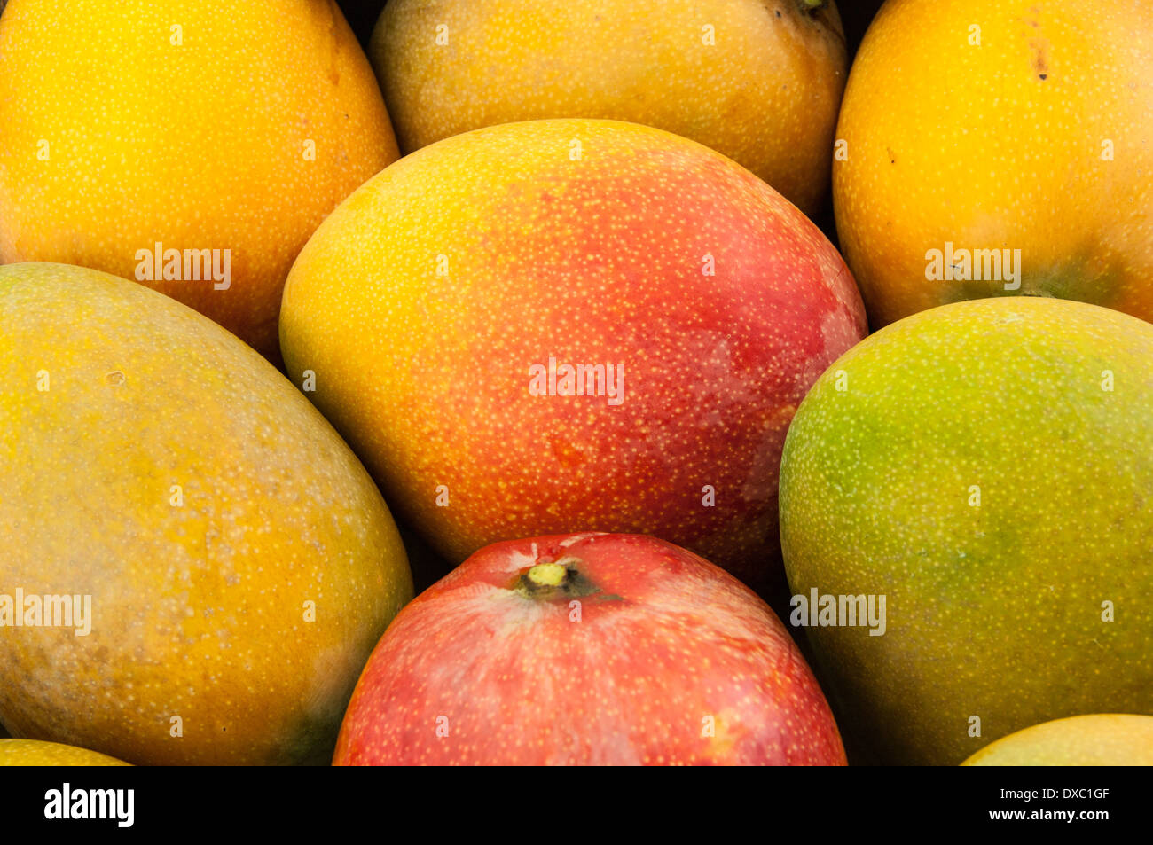 Peruvian mango hi-res stock photography and images - Alamy