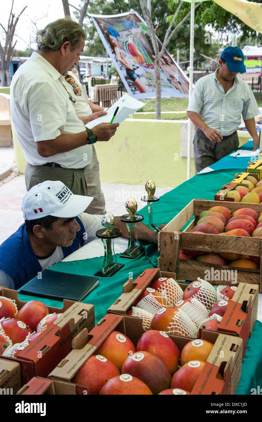 Competition mangoes in Yapatera, Piura. Peru Stock Photo - Alamy