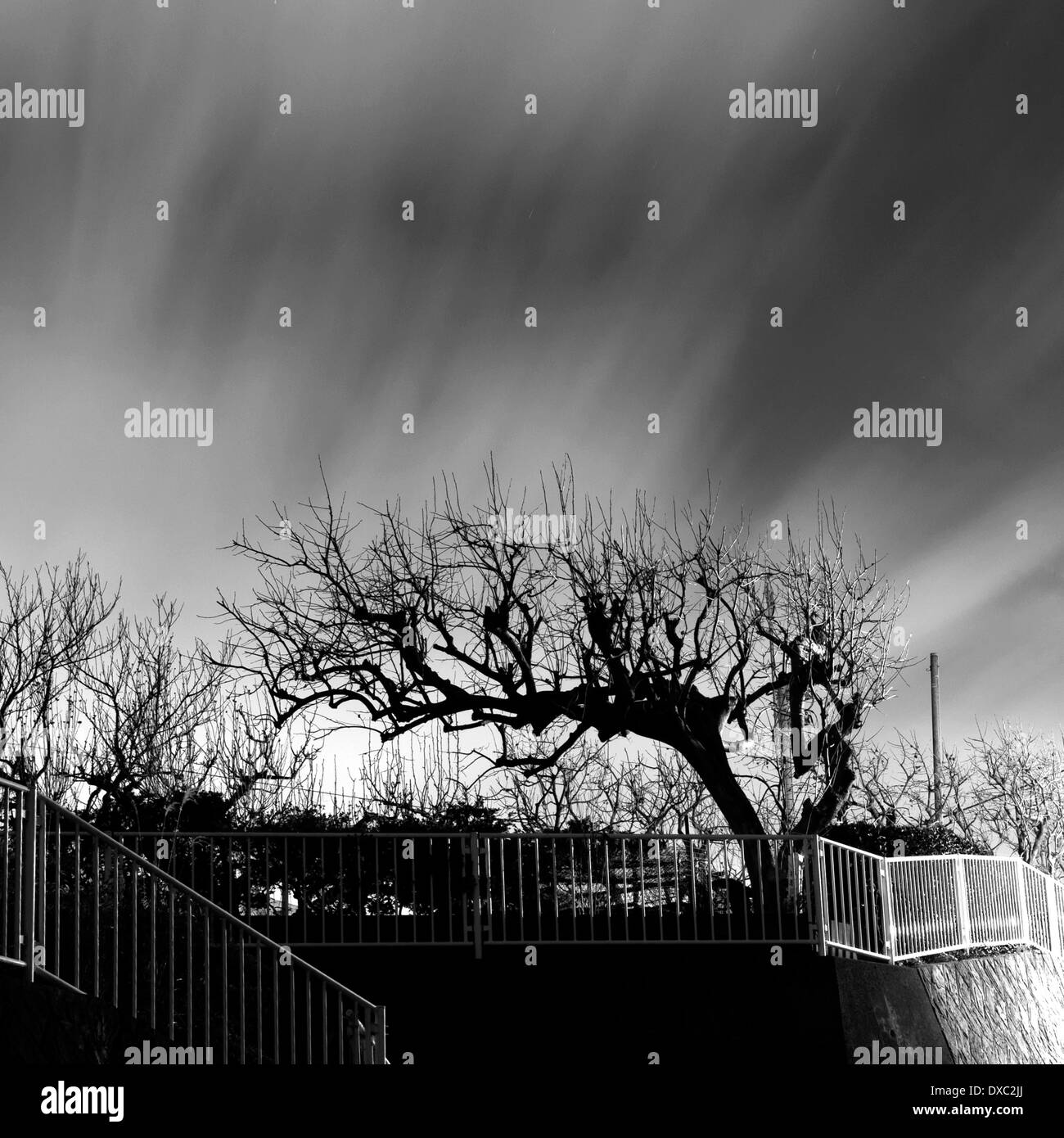 Yamato people hi-res stock photography and images - Alamy