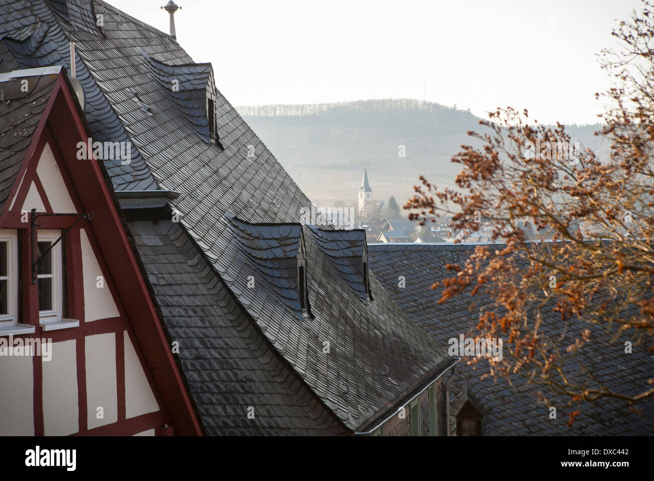 Traditional German roof with the Mosel Valley in the background Stock ...