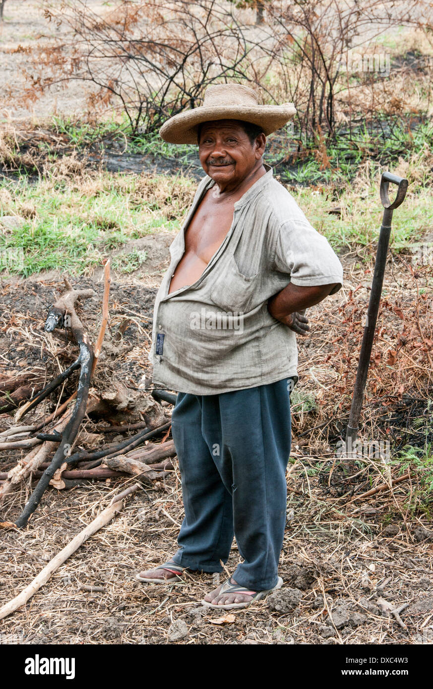 Worker afro hi-res stock photography and images - Alamy