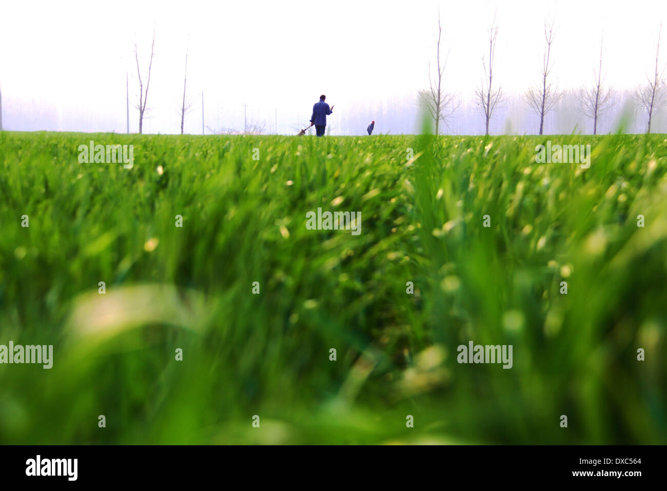 Zaozhuang, China's Shandong Province. 23rd Mar, 2014. A farmer ploughes ...