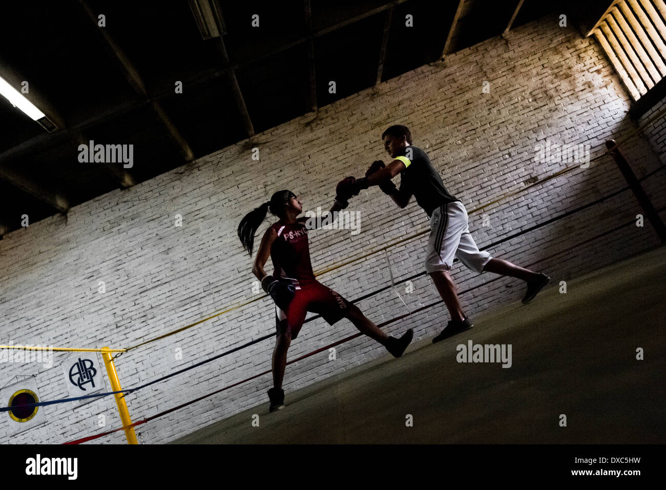 Team boxing hi-res stock photography and images - Alamy