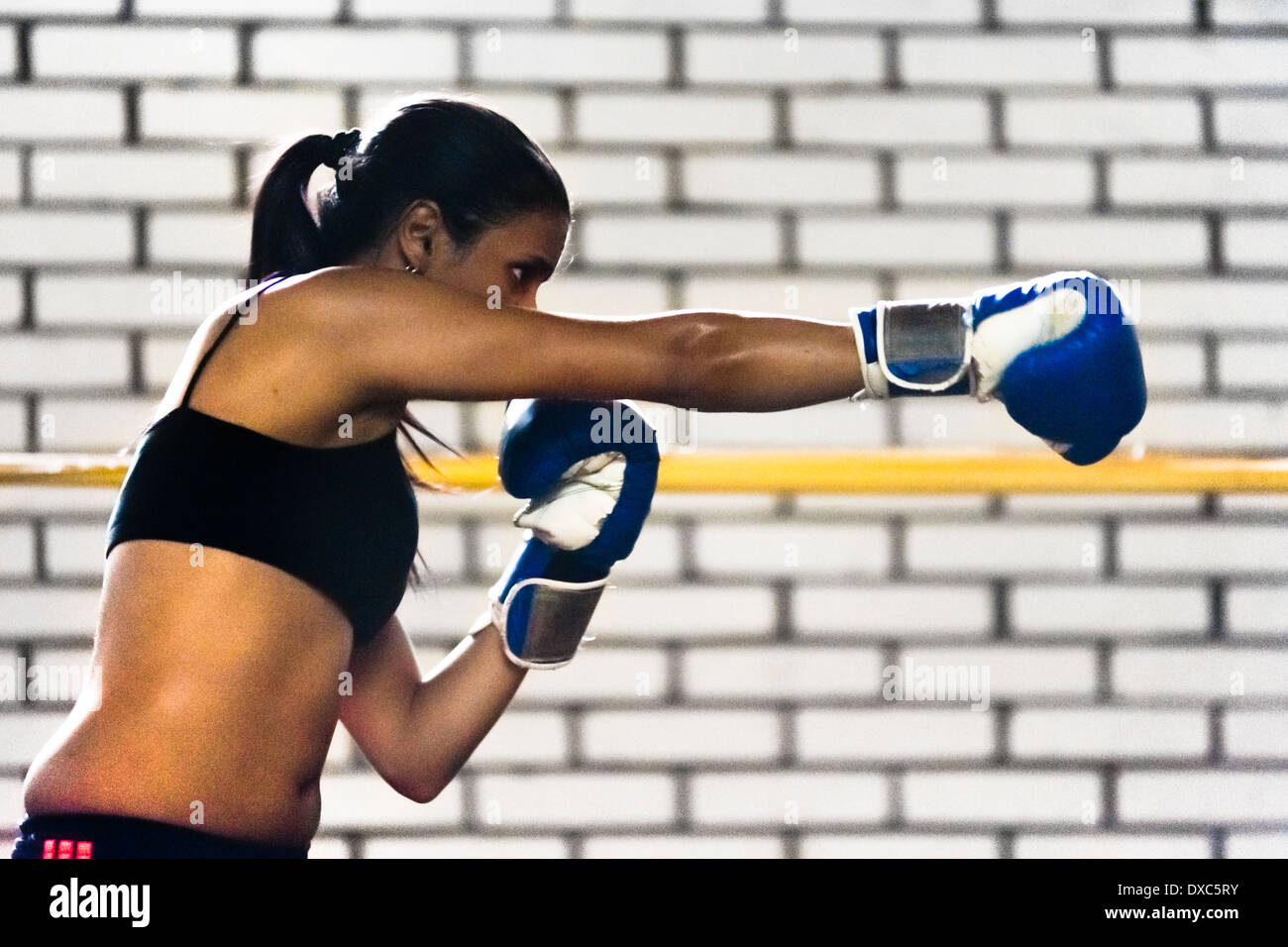 Colombian boxer hi-res stock photography and images - Alamy