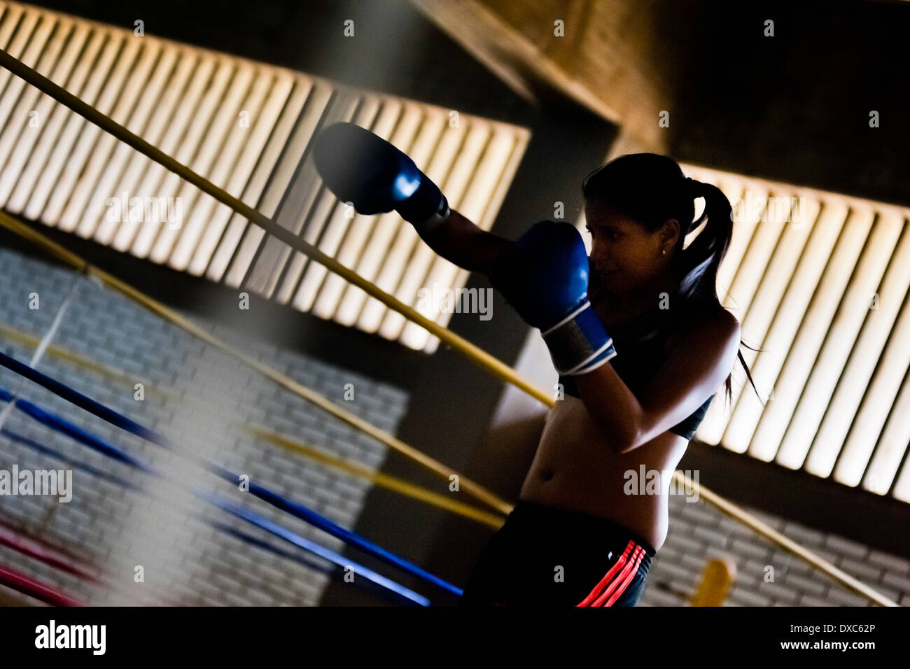 Colombian boxer hi-res stock photography and images - Alamy
