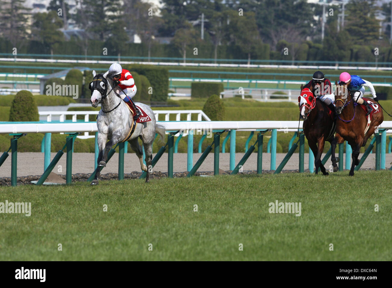 Hyogo, Japan. 23rd Mar, 2014. (L-R) Gold Ship (Yasunari Iwata), Bande ...