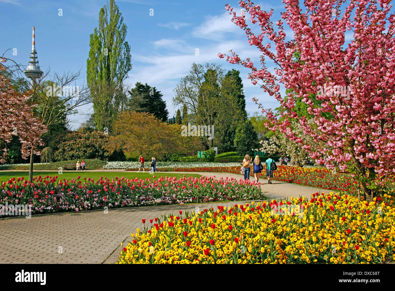 Luisenpark mannheim hi-res stock photography and images - Alamy