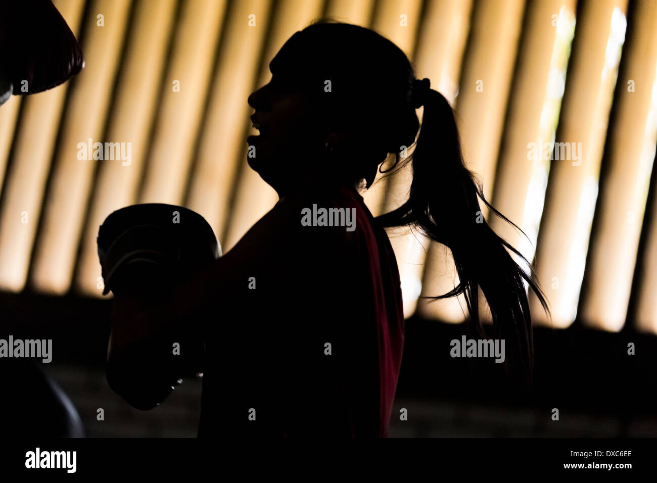 Colombian boxer hi-res stock photography and images - Alamy