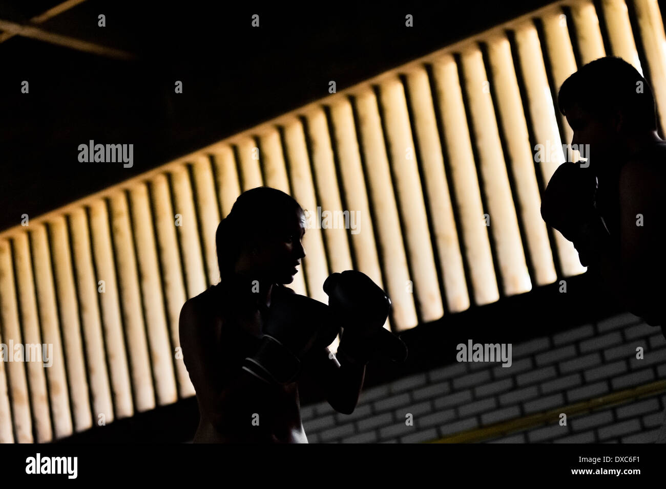 Team boxing hi-res stock photography and images - Alamy