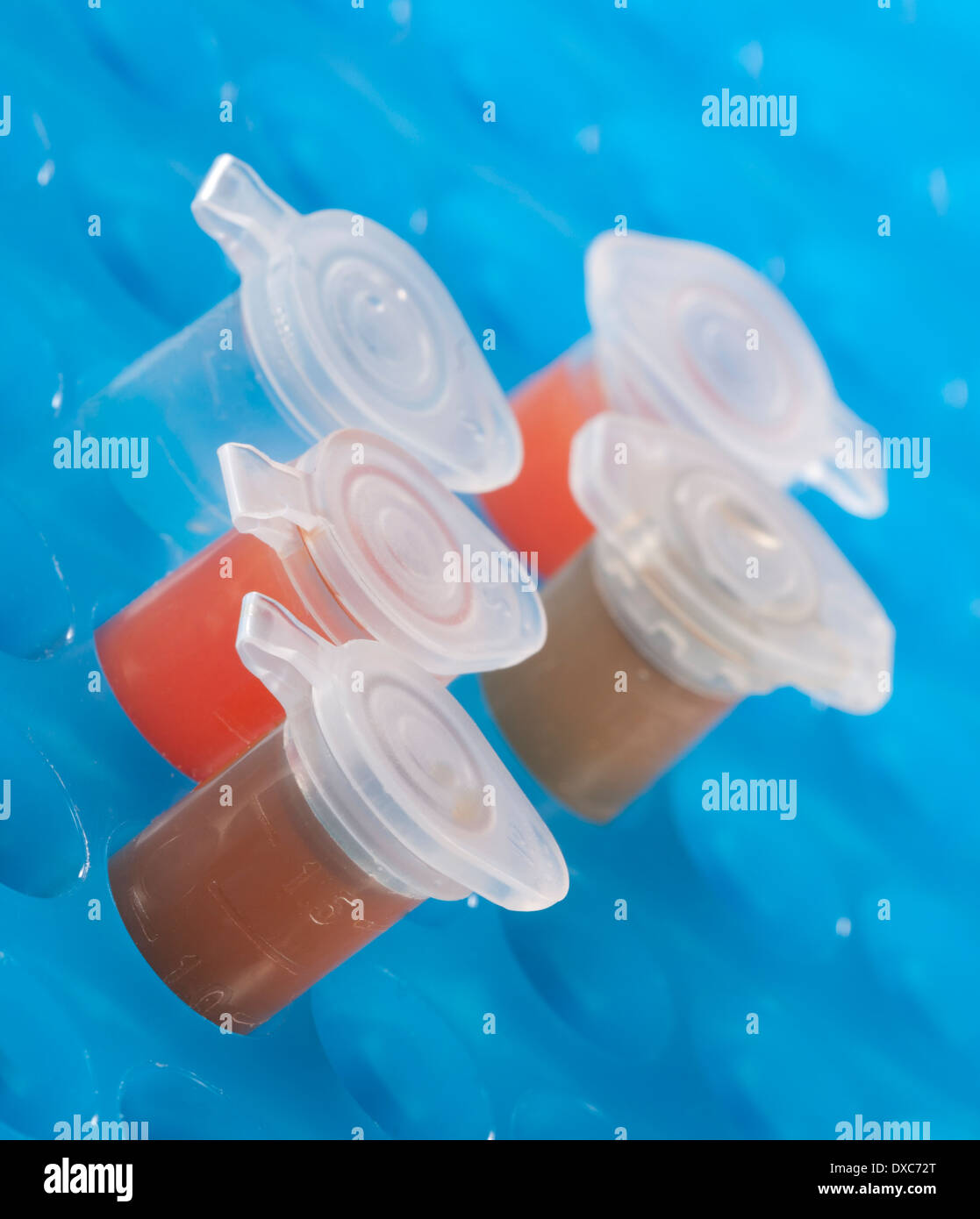 Test tubes with different colored chemicals in a plastic support Stock ...