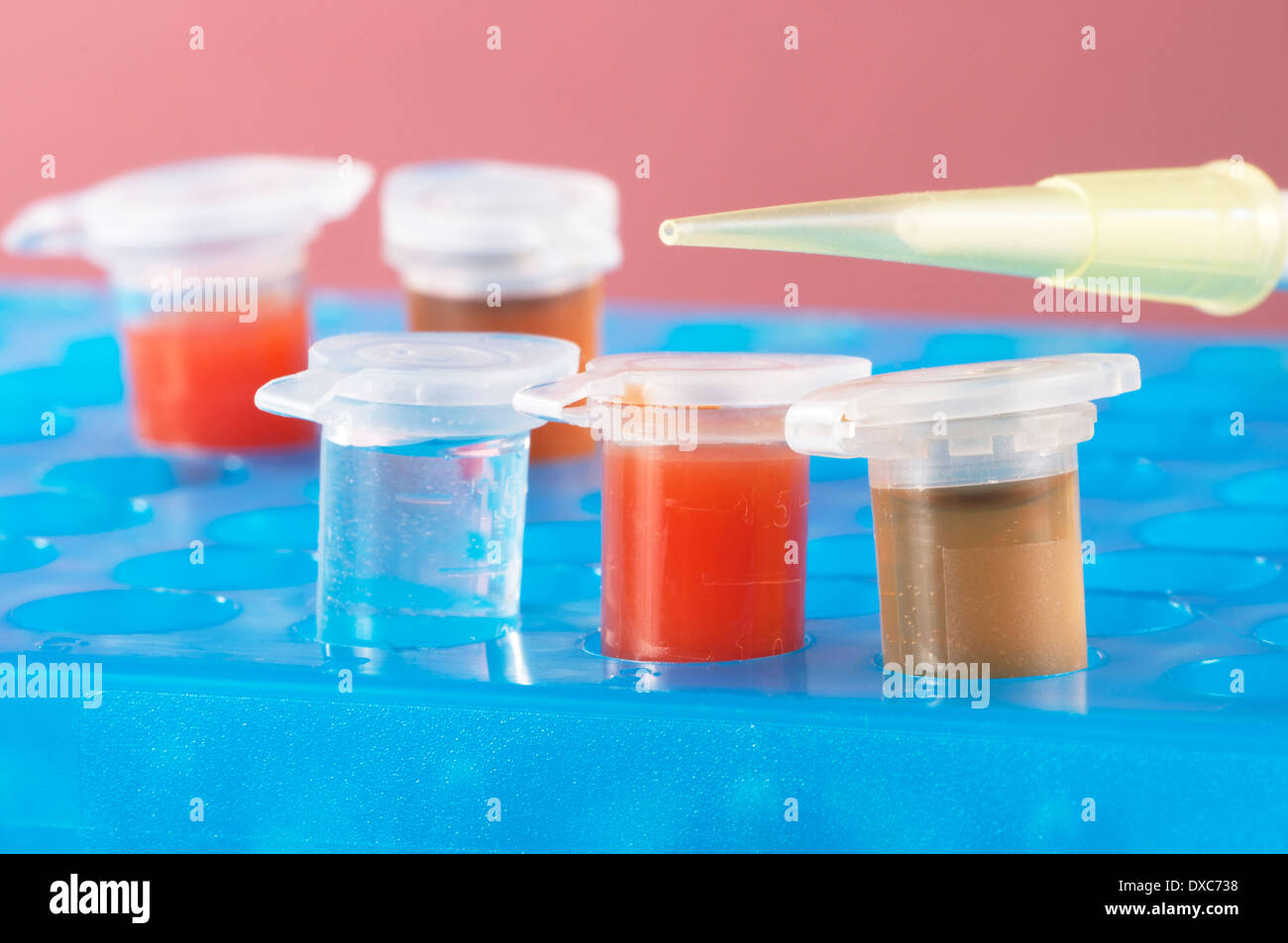 Test tubes with different colored chemicals in a plastic support and ...
