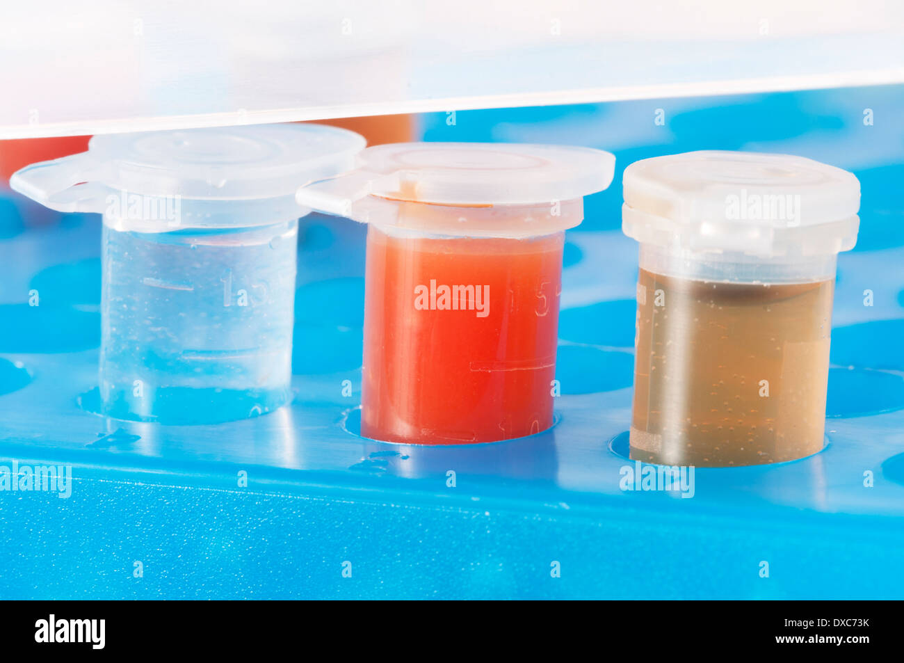 Test tubes with different colored chemicals in a plastic support Stock ...