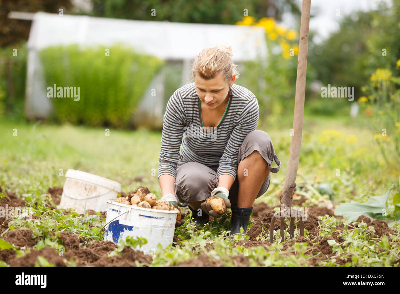 Working in garden Stock Photo - Alamy