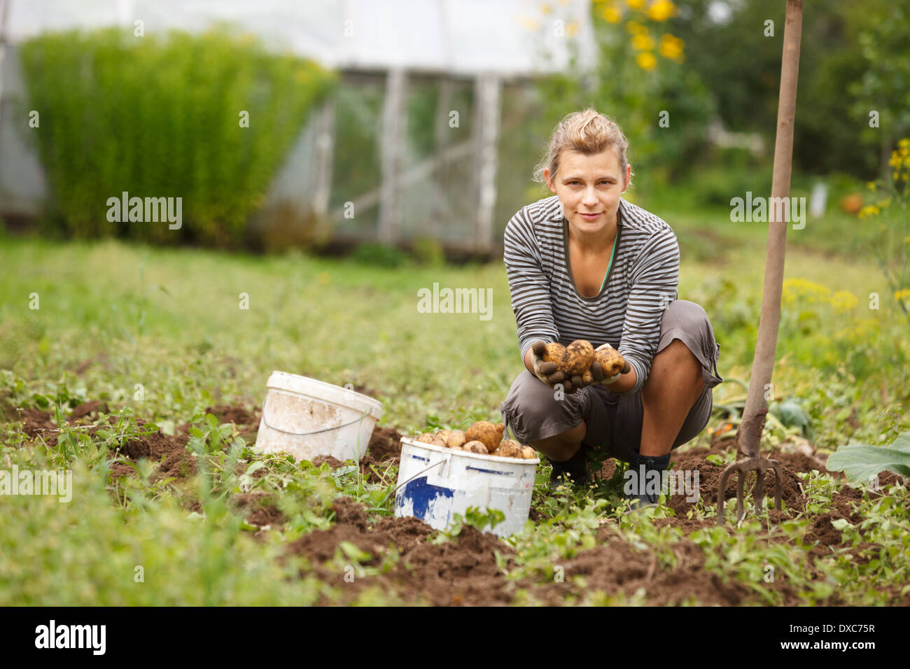 Working in garden Stock Photo - Alamy