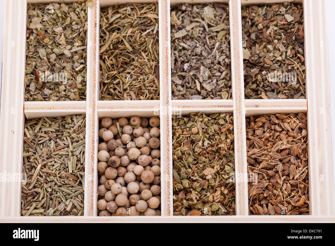 Overhead view of a tray with individual divisions displaying assorted ...