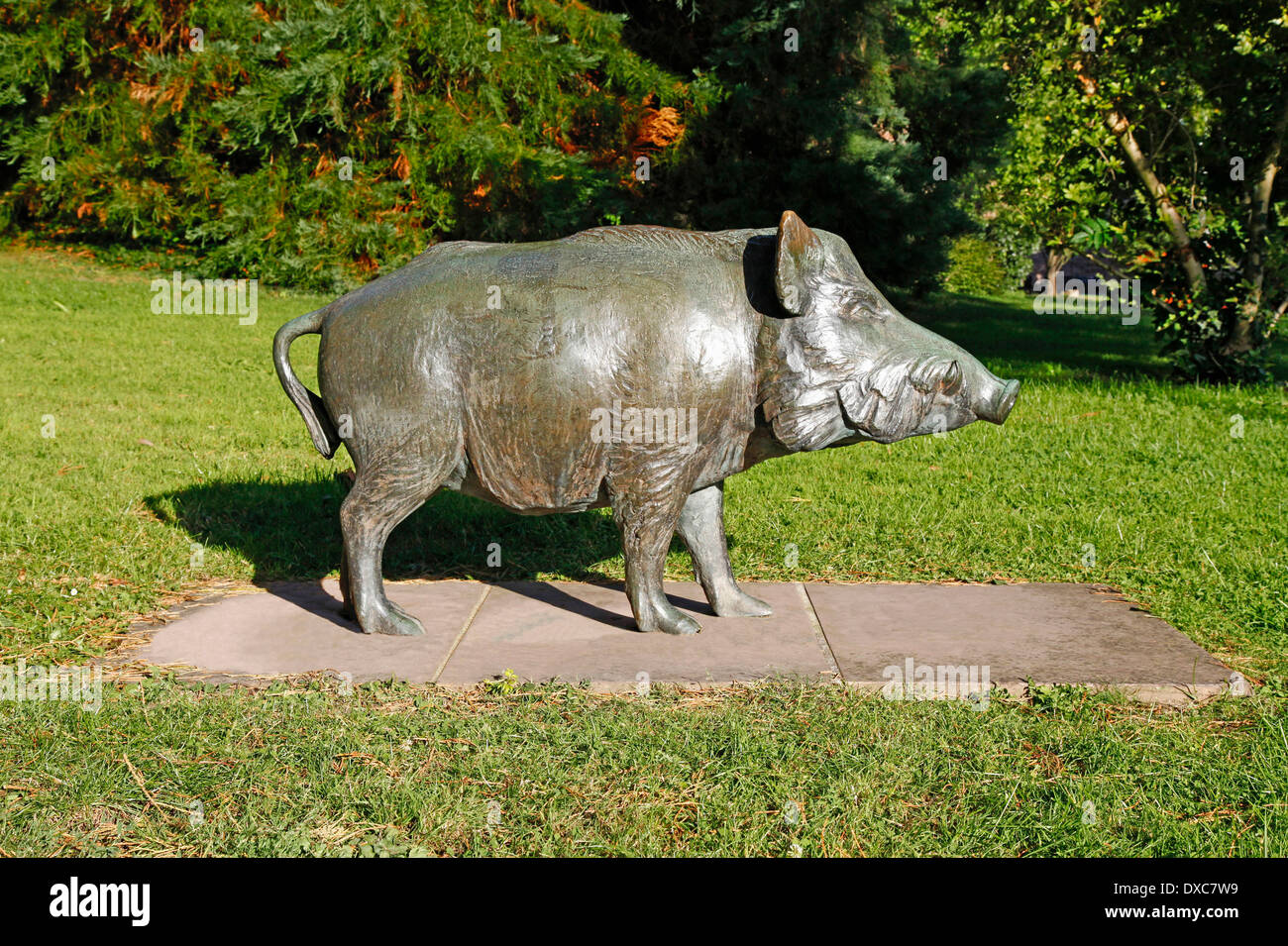 Bronze boar sculpture hi-res stock photography and images - Alamy