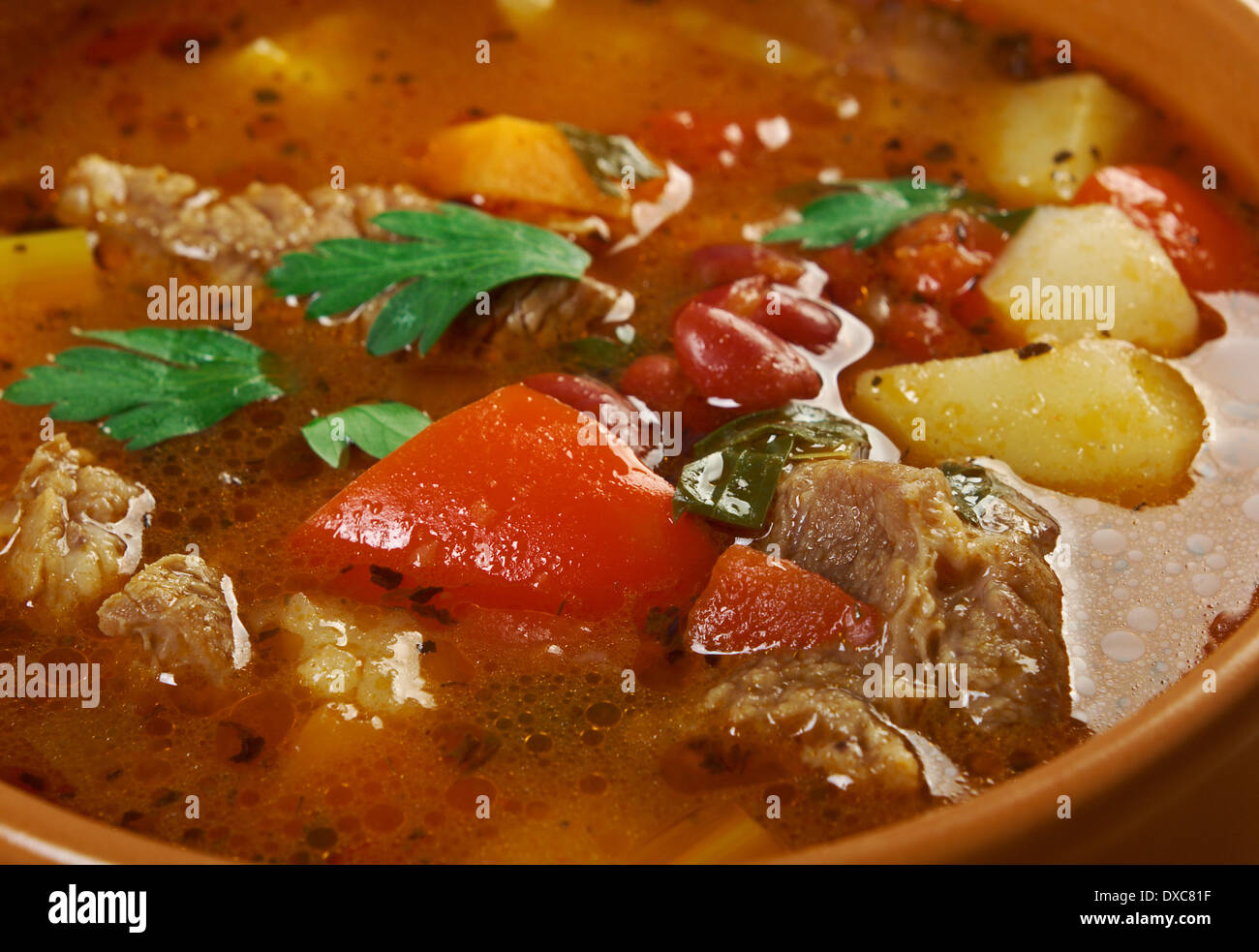 Eintopf -Traditional german cuisine dish.closeup of a bowl of beef stew ...