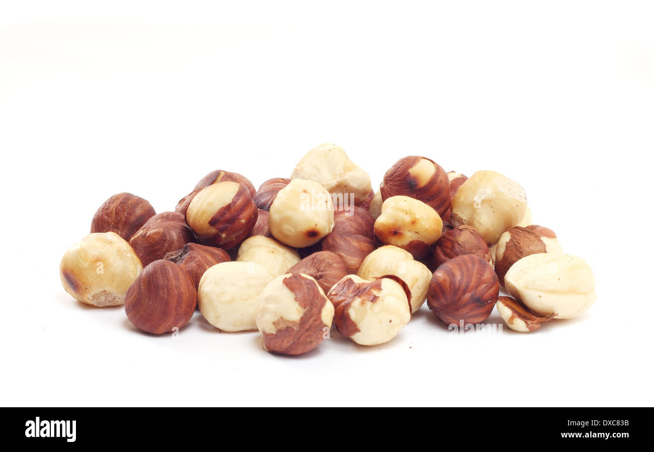 Forest hazelnuts isolated on white background Stock Photo - Alamy