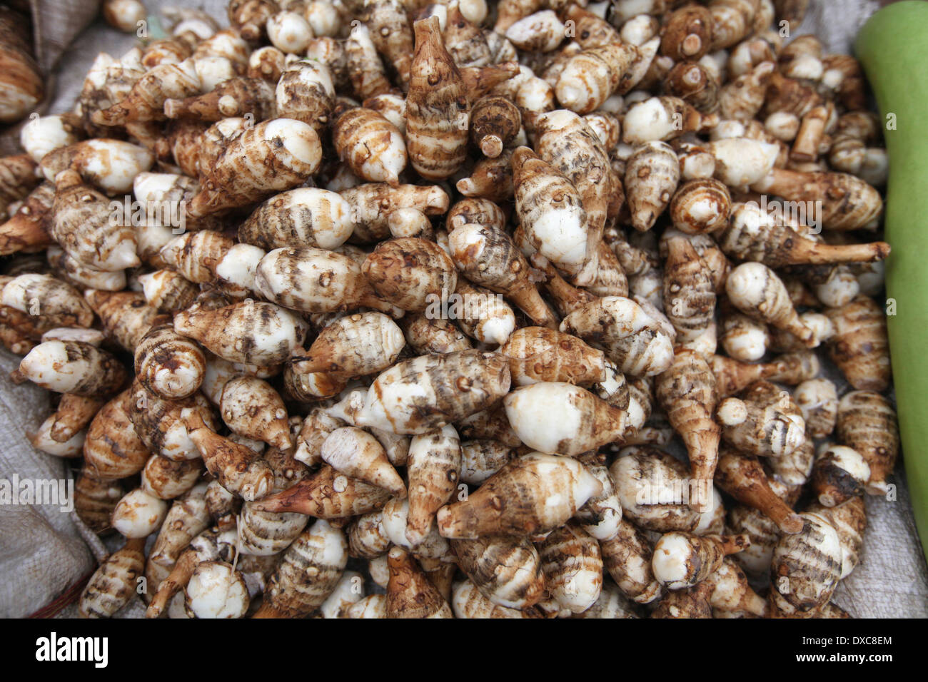 Arvi (colocasia)in tribal market. A traditional starch staple ...