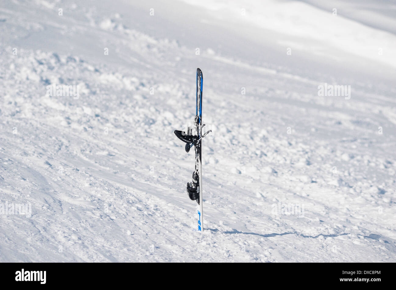 Ski implanted in the snow for the tip Stock Photo - Alamy