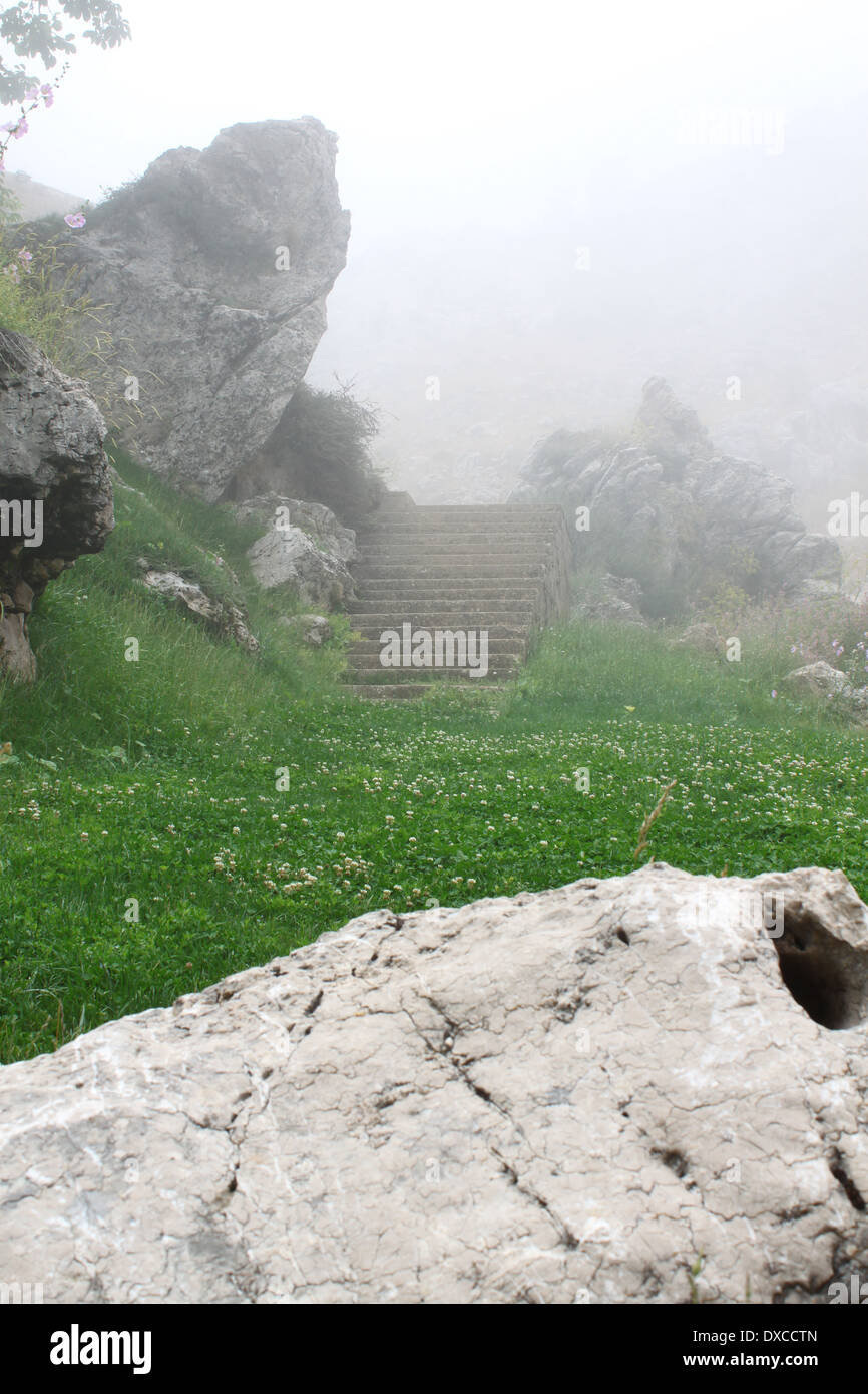 Heavenly grass hi-res stock photography and images - Alamy