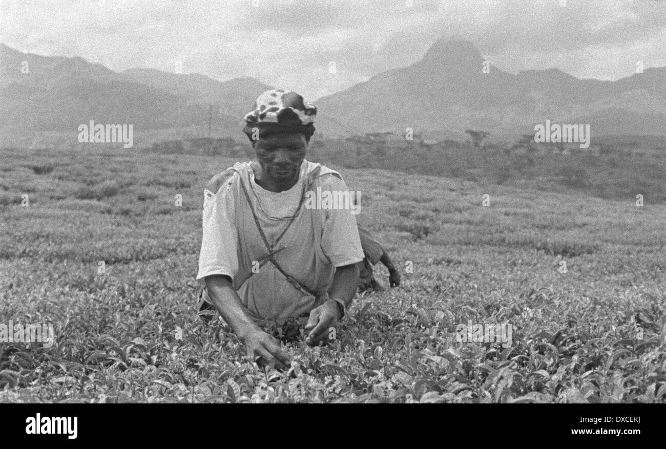 Tabu Black and White Stock Photos & Images - Alamy