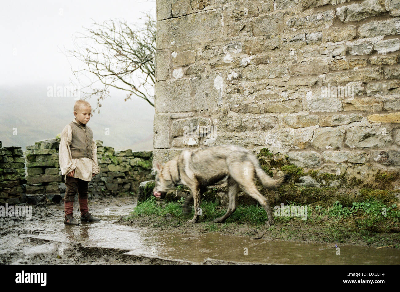 Emily bronte dog hi-res stock photography and images - Alamy