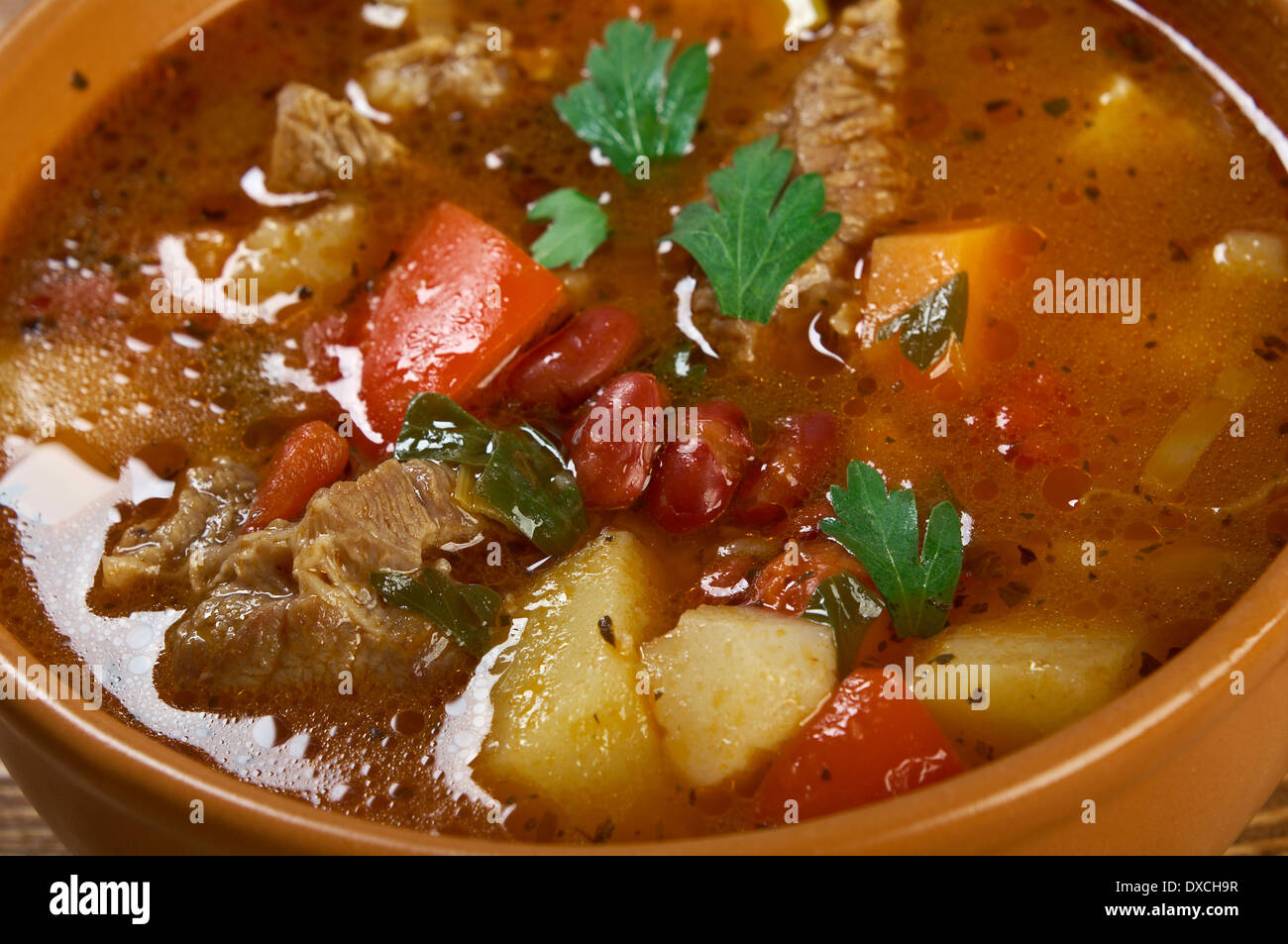 Eintopf -Traditional german cuisine dish.closeup of a bowl of beef stew ...