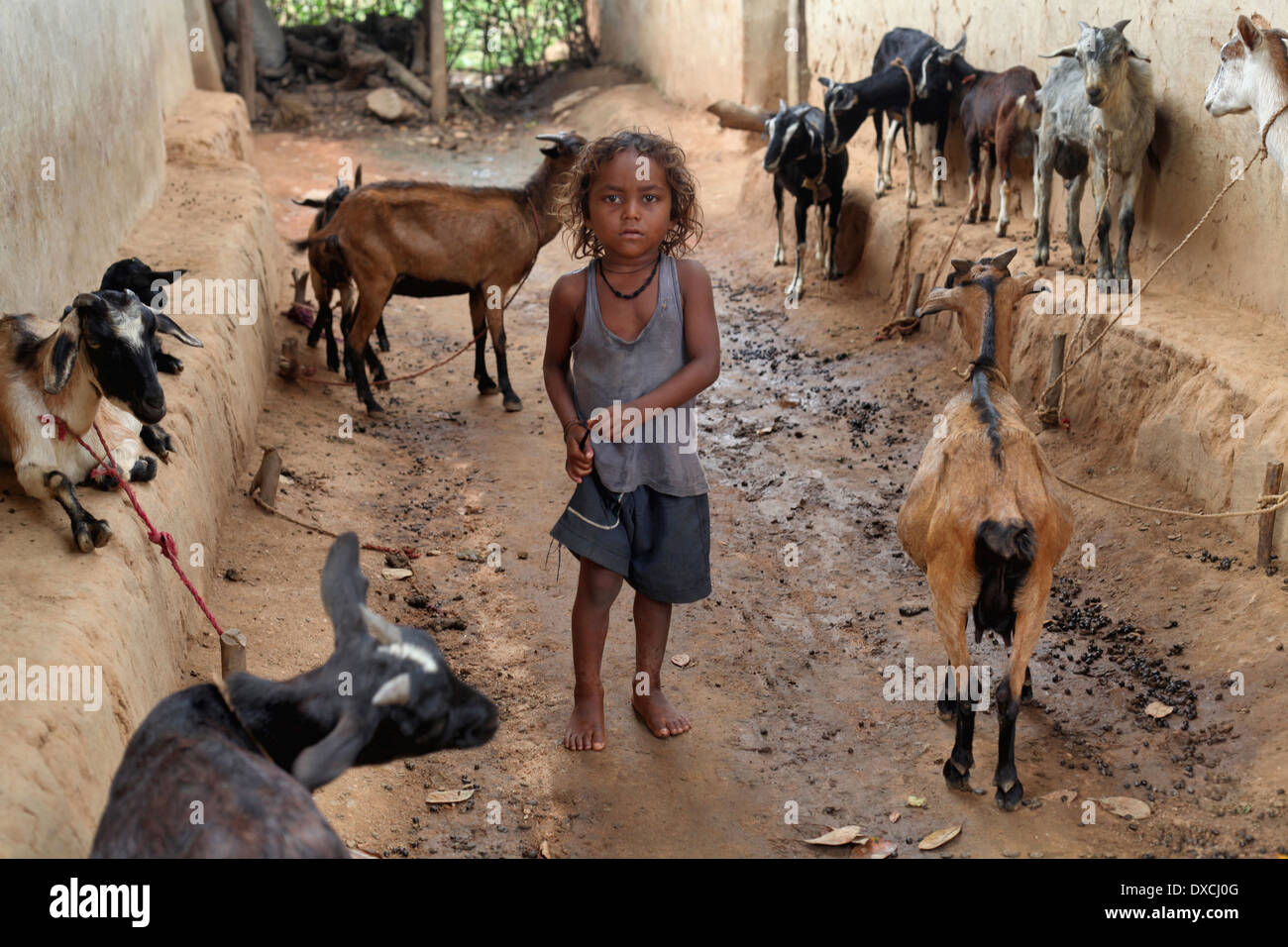 A poor tribal child. Santhal tribe. Jarweadhi village, Bishangarh block ...