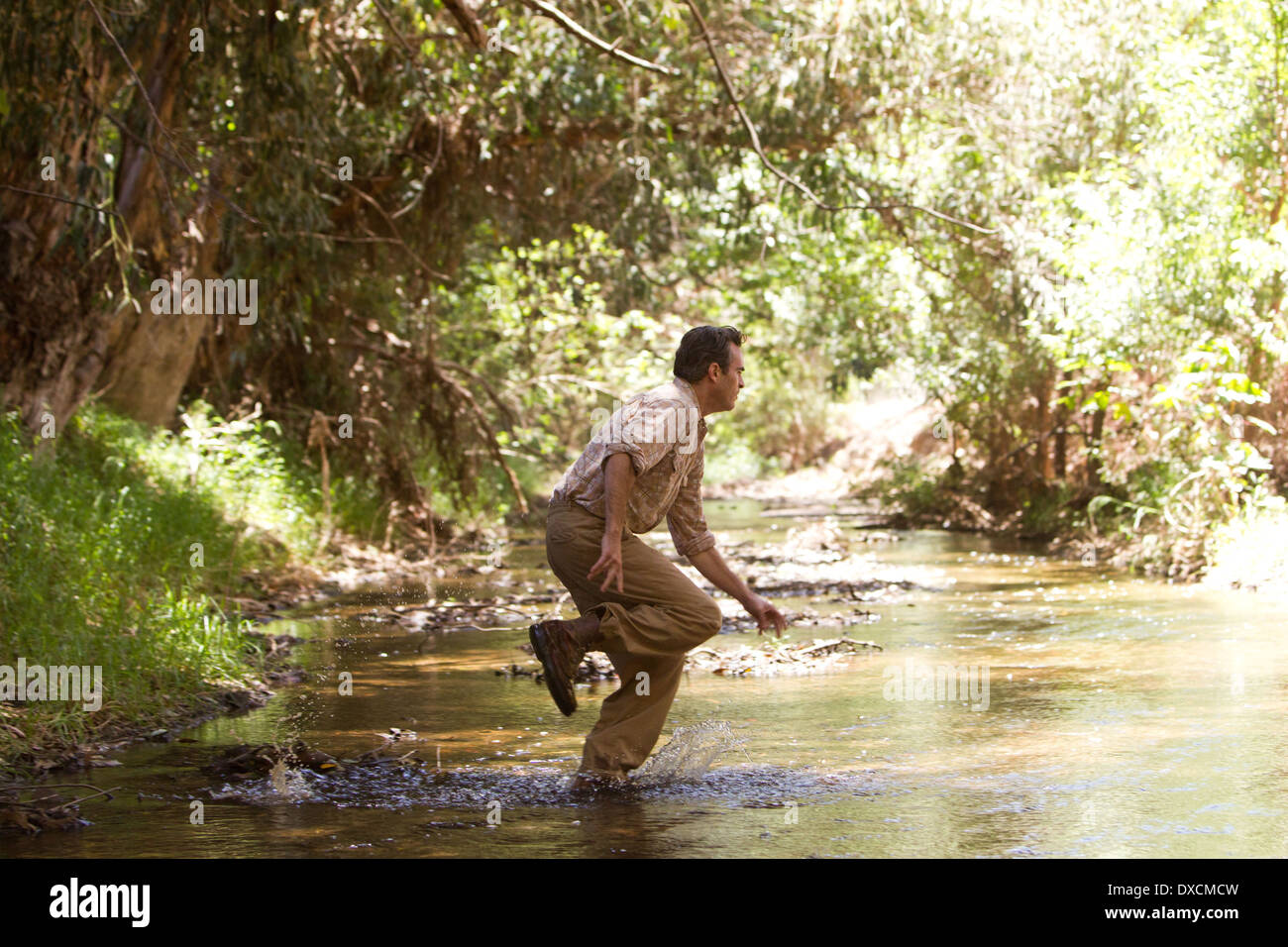Paul anderson forest hi-res stock photography and images - Alamy