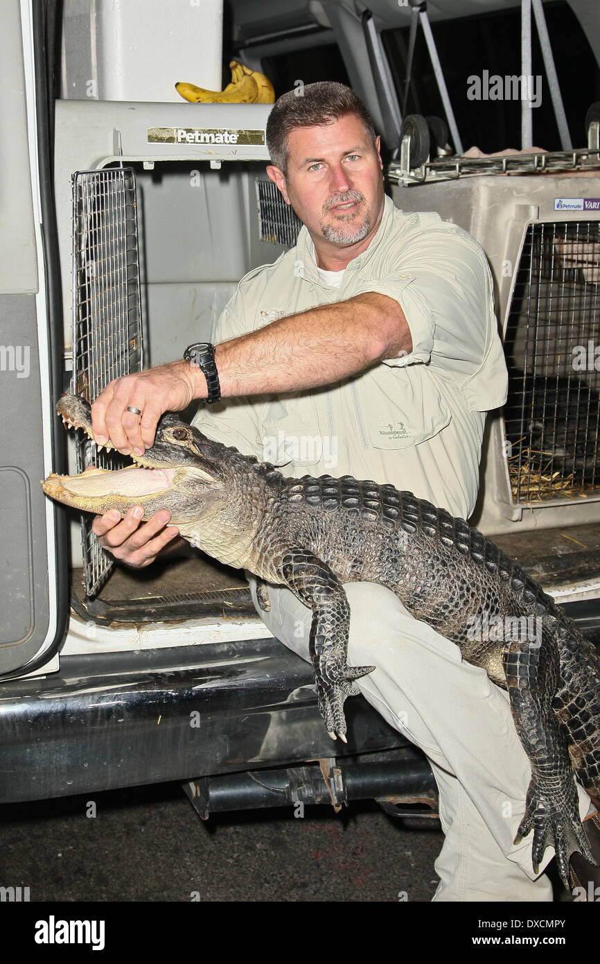 Guest 'The Late Show with David Letterman' held at the Ed Sullivan ...