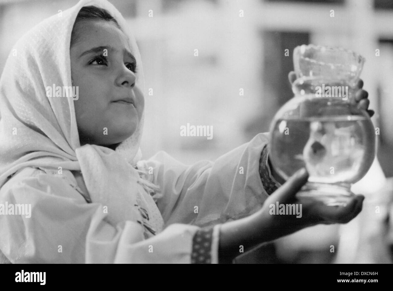 Sefid hi-res stock photography and images - Alamy