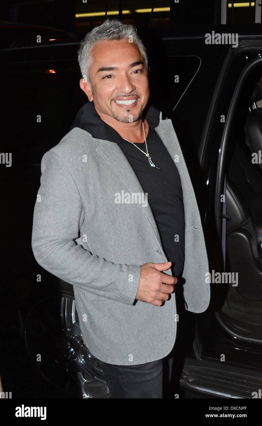 Cesar millan hi-res stock photography and images - Alamy