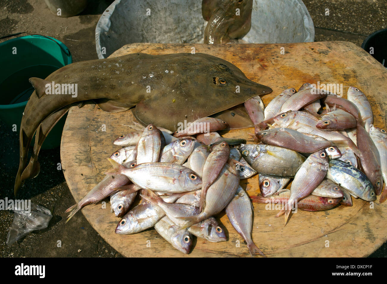 Fish market in Elmina, Ghana Stock Photo - Alamy