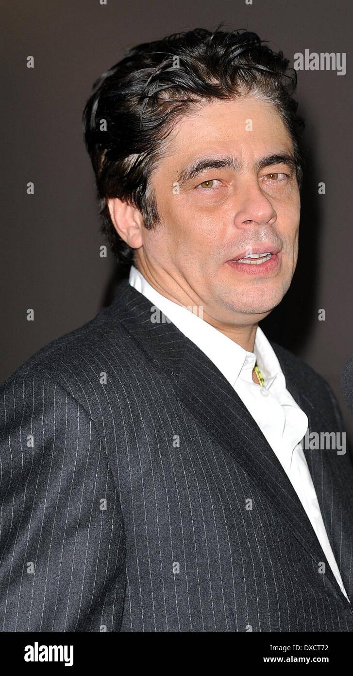 Benicio Del Toro poses for media during a photo call for the 'Savages ...