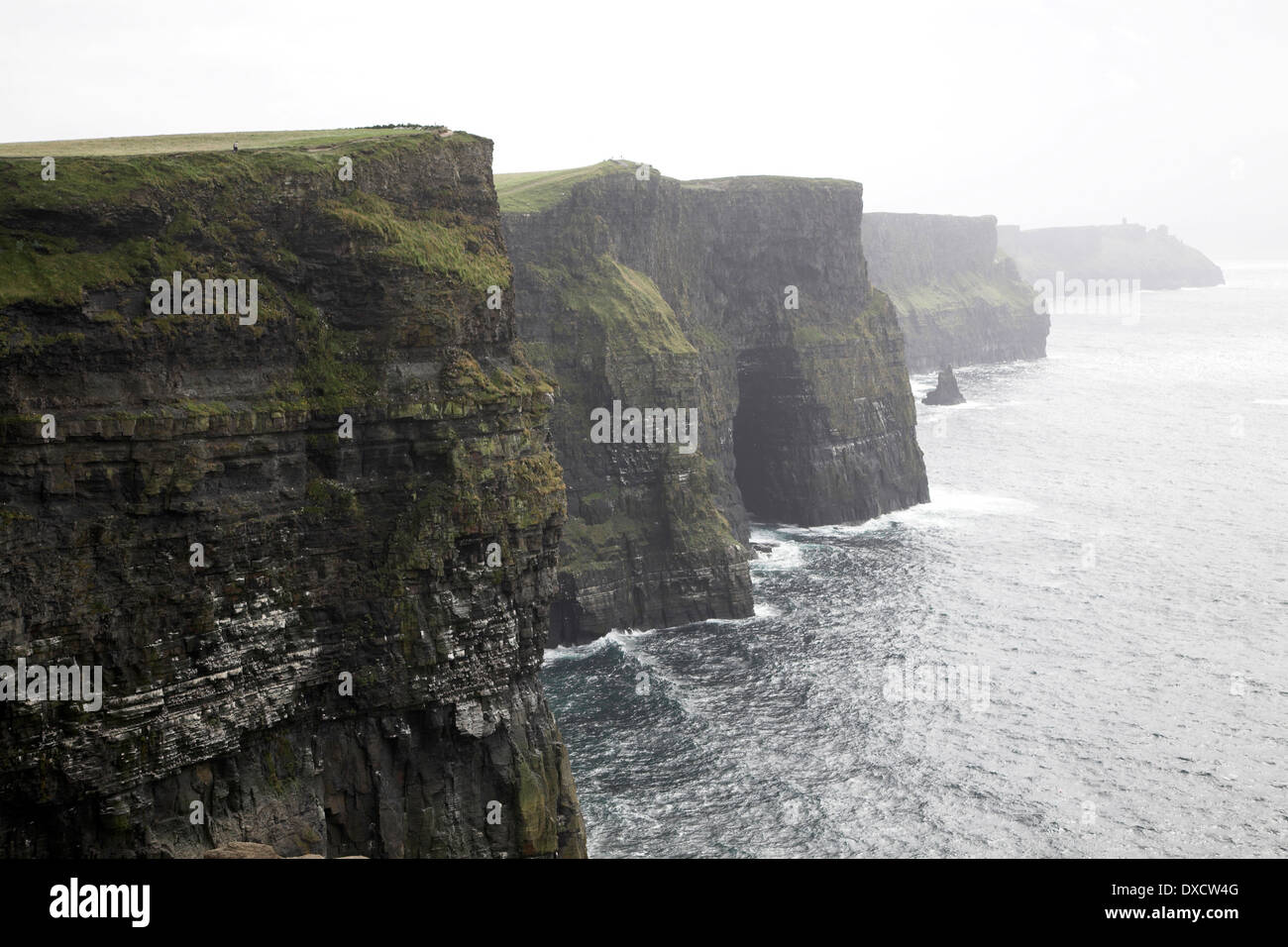 Near vertical cliff face over 200 metres high, Cliffs of Moher ...